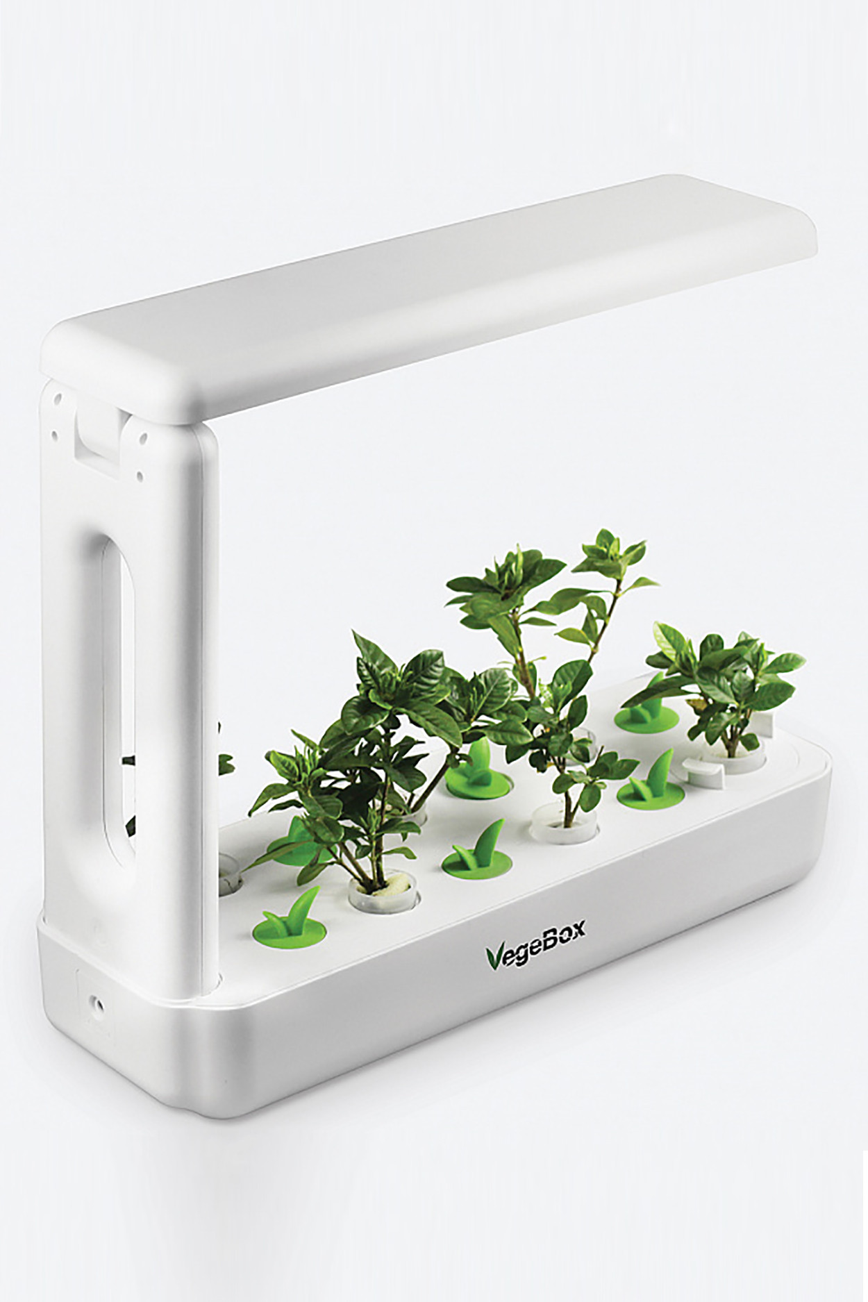 Домашняя ферма VegeBox K-BOX 8539656 купить в Москве: цены и отзывы