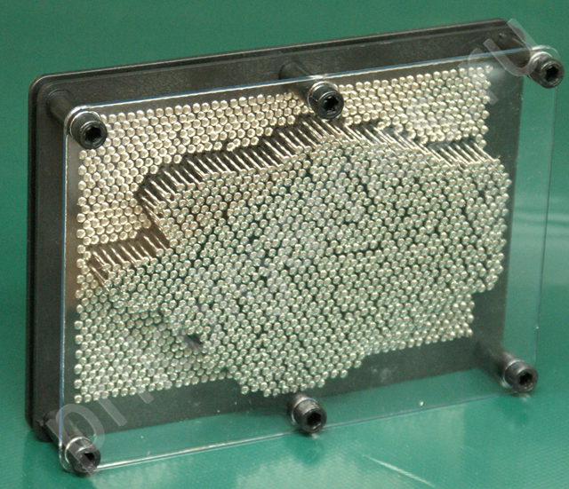 Пинарт средний. 5417704 купить в Москве: цены и отзывы