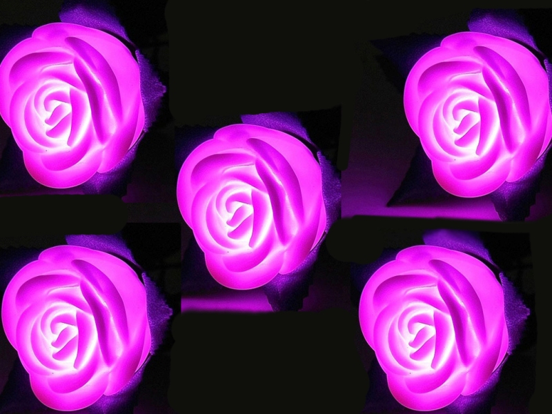 Розовые светящиеся розы в темноте 5630909 купить в Москве: цены и отзывы